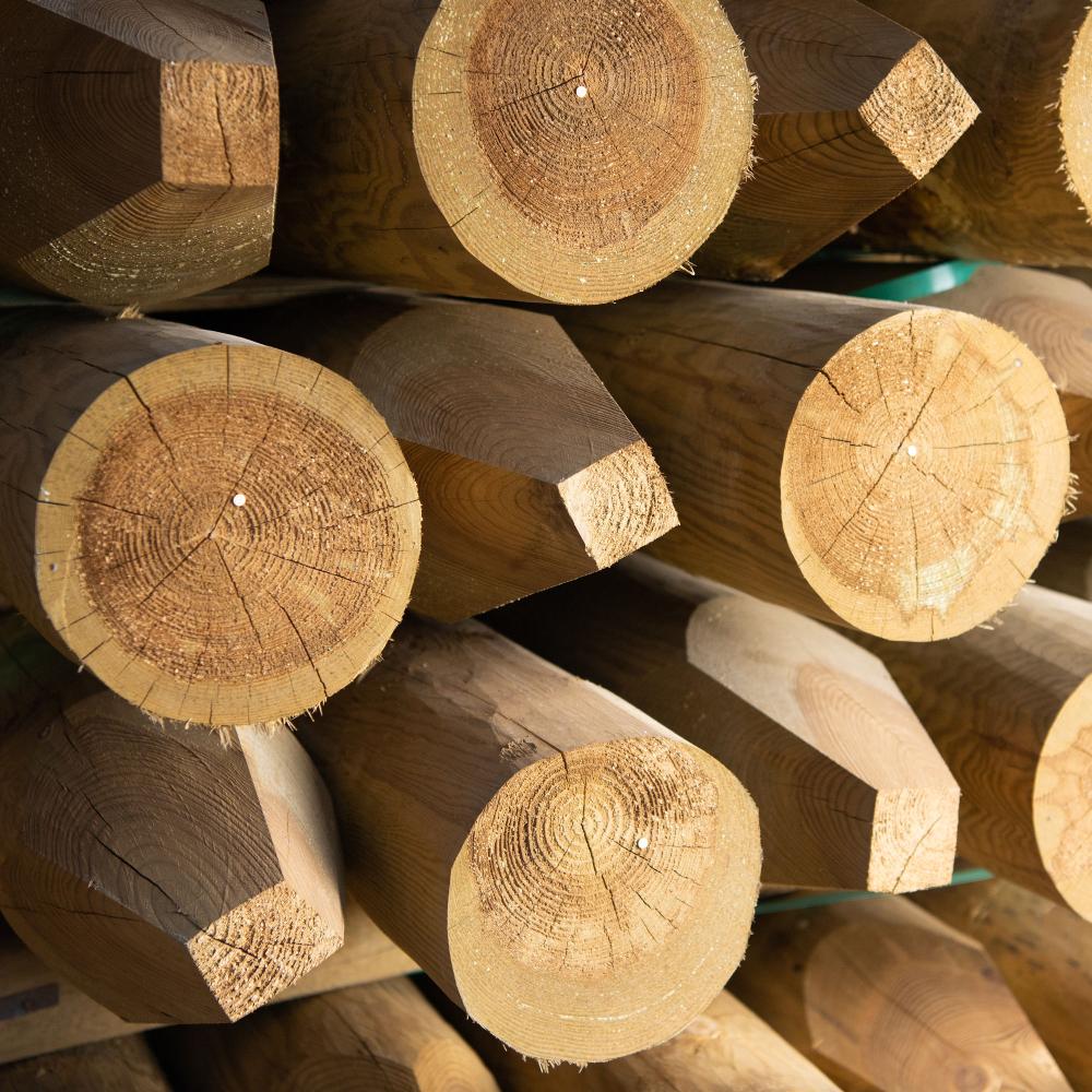 Round Wooden Fence Posts | Treated Pointed & Peeled Larch