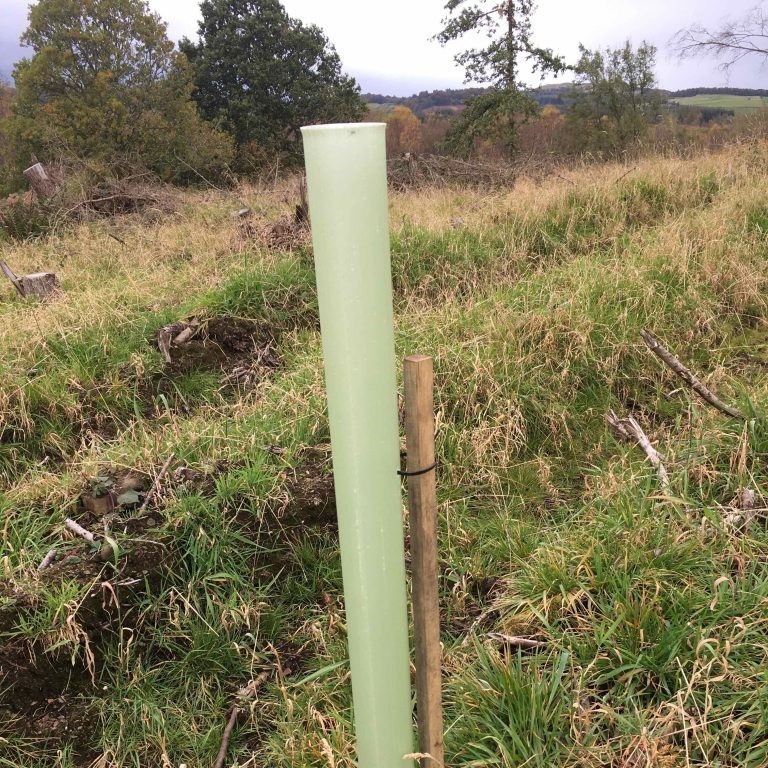 1.2m Tubex Gro-Cones | Tree Protectors