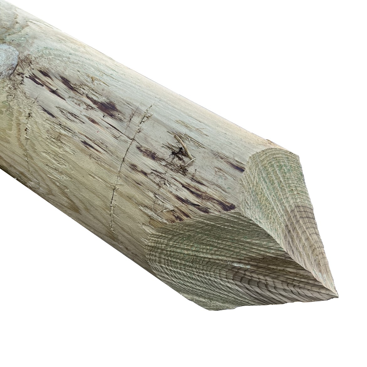 UC4, Kiln Dried Homegrown Pine Posts Pointed | Treated Wood