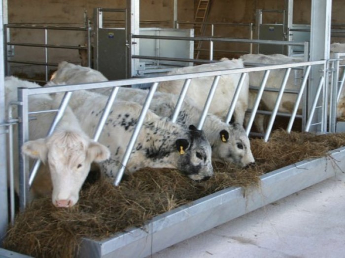 IAE bespoke products