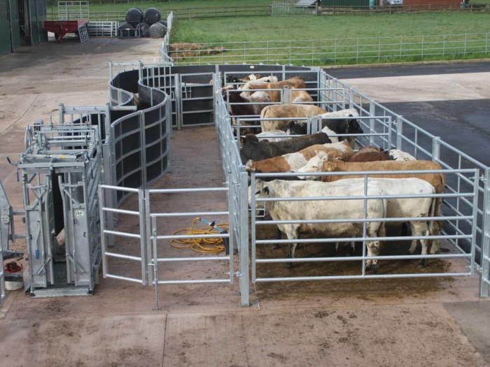 IAE bespoke products